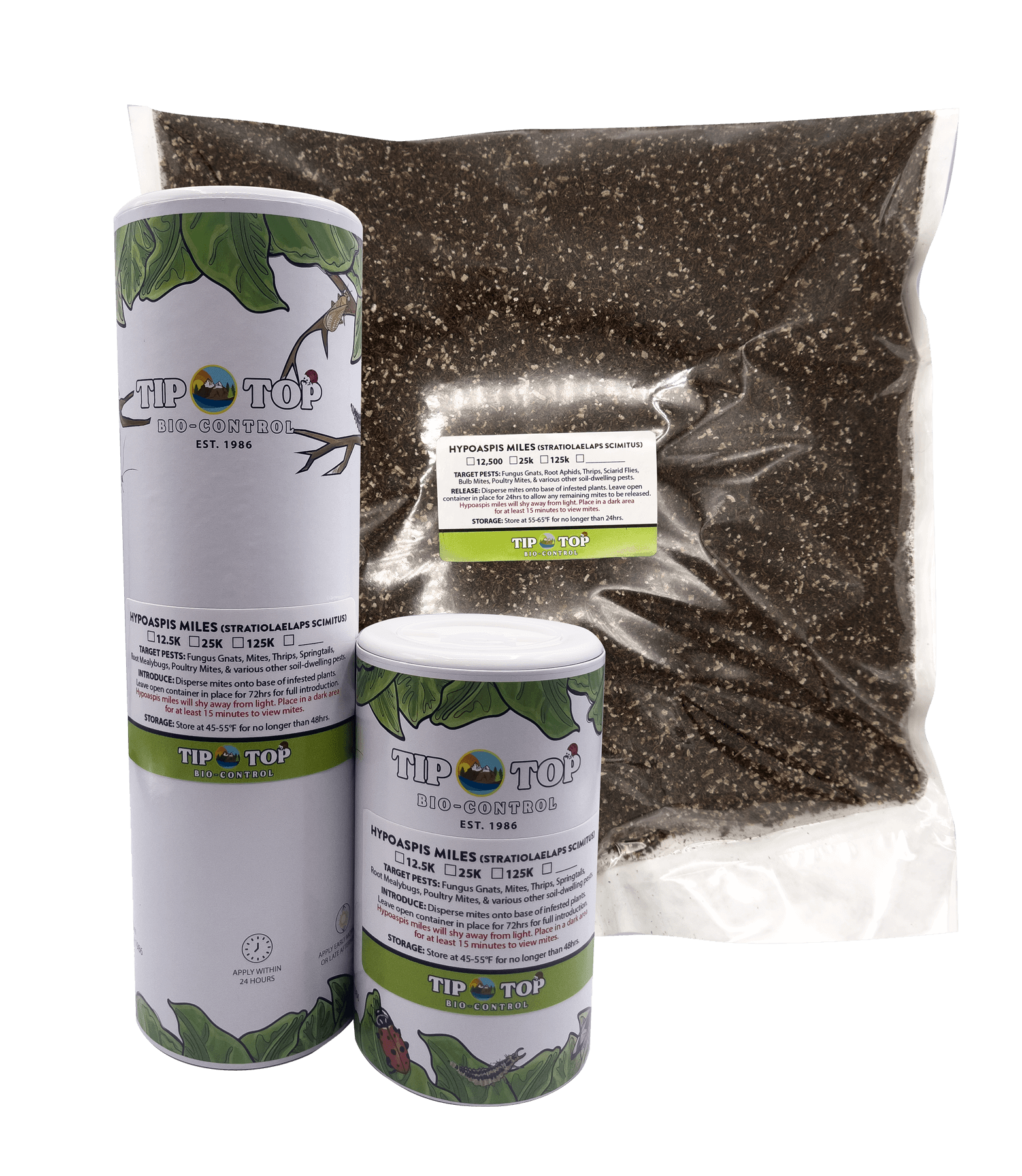 Hypoaspis miles | Stratiolaelaps scimitus | Fungus Gnat & Mite Control