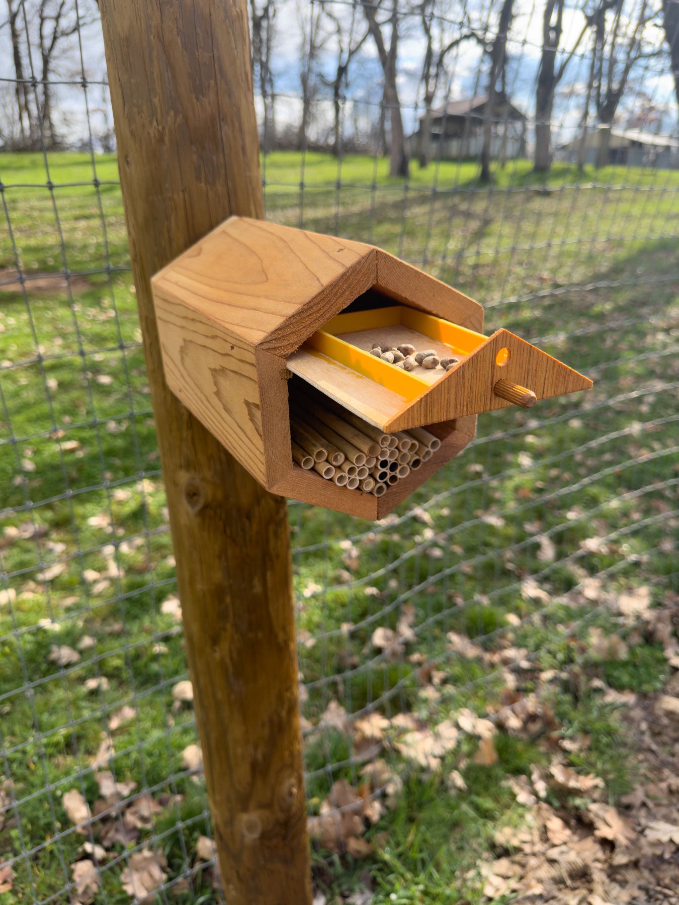 Mason Bee Hut Kit