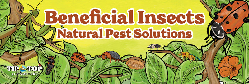 Banner - Natural Pest Control