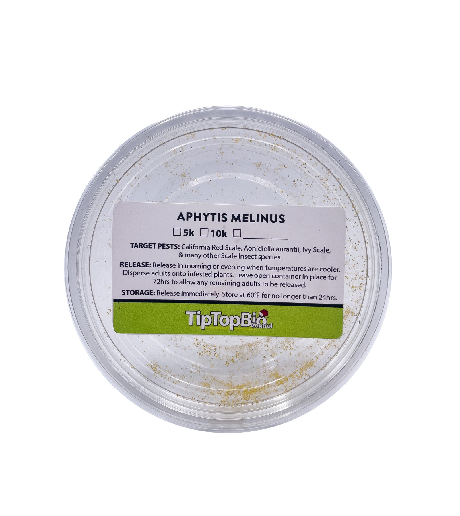 Aphytis melinus - Scale Control