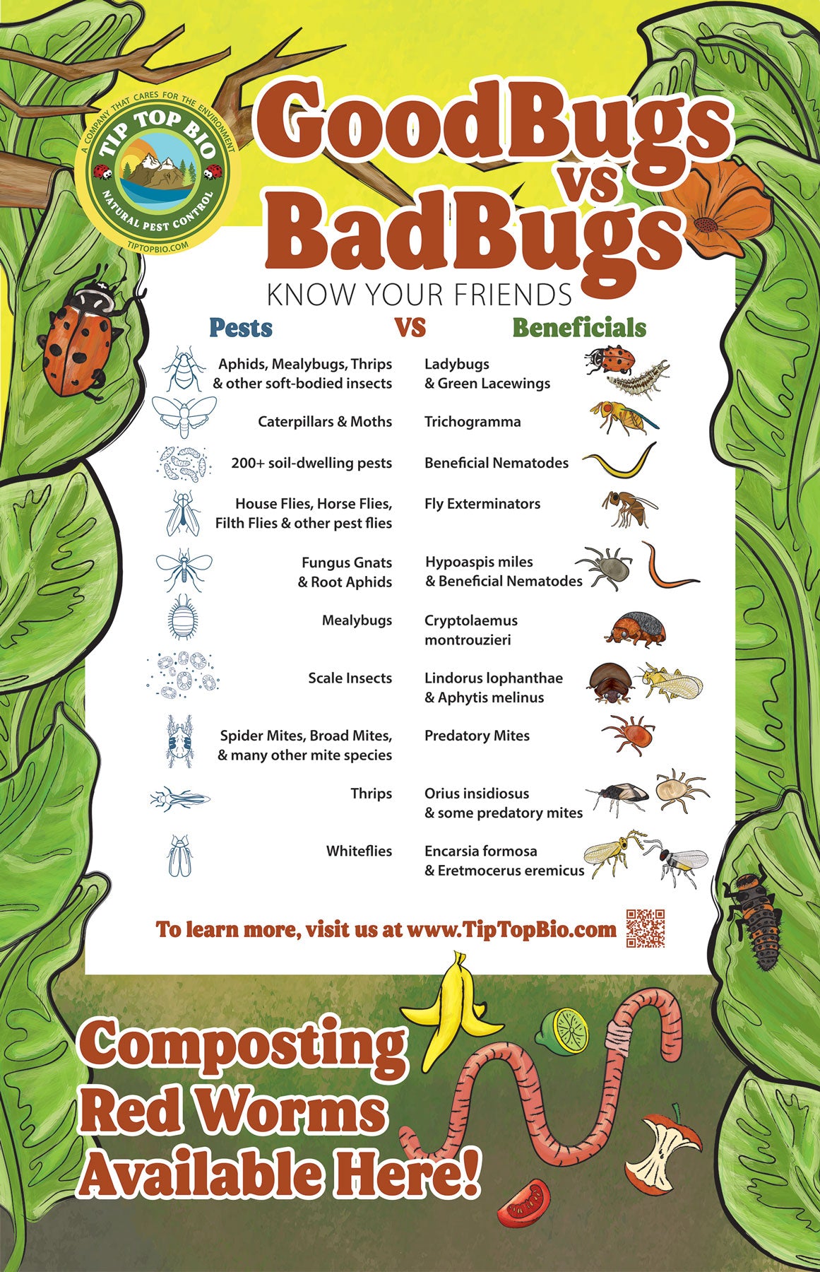 Banner - Good Bug vs Bad Bug