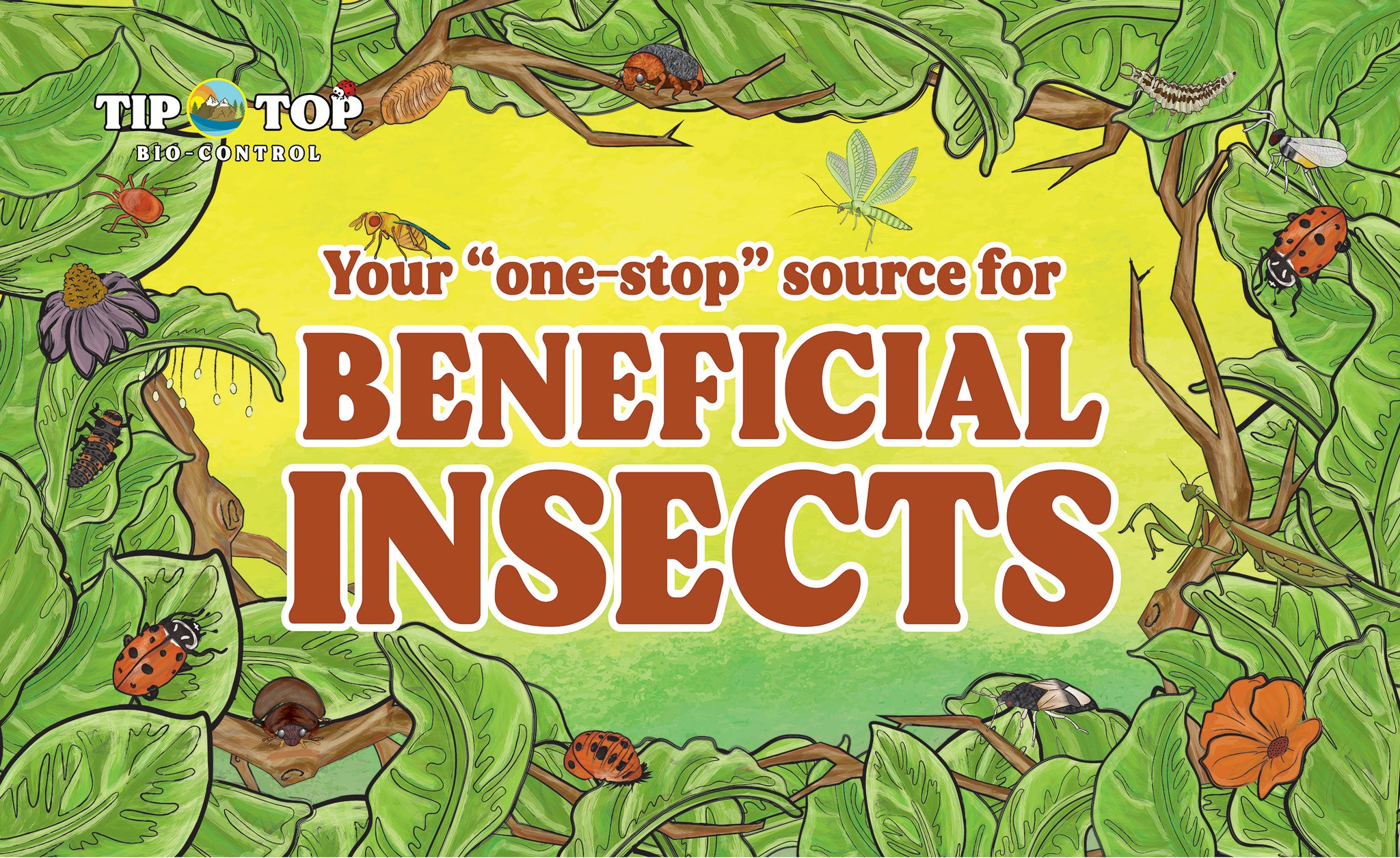 Banner - Your "One-Stop" Source For Beneficial Insects