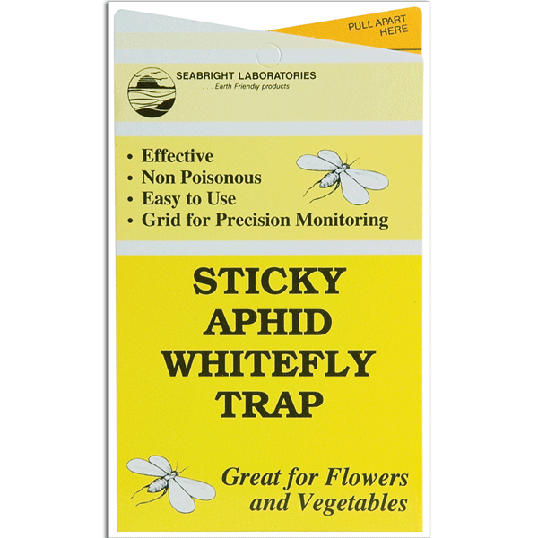 Seabright Aphid & Whitefly Sticky Trap - 5 Pack